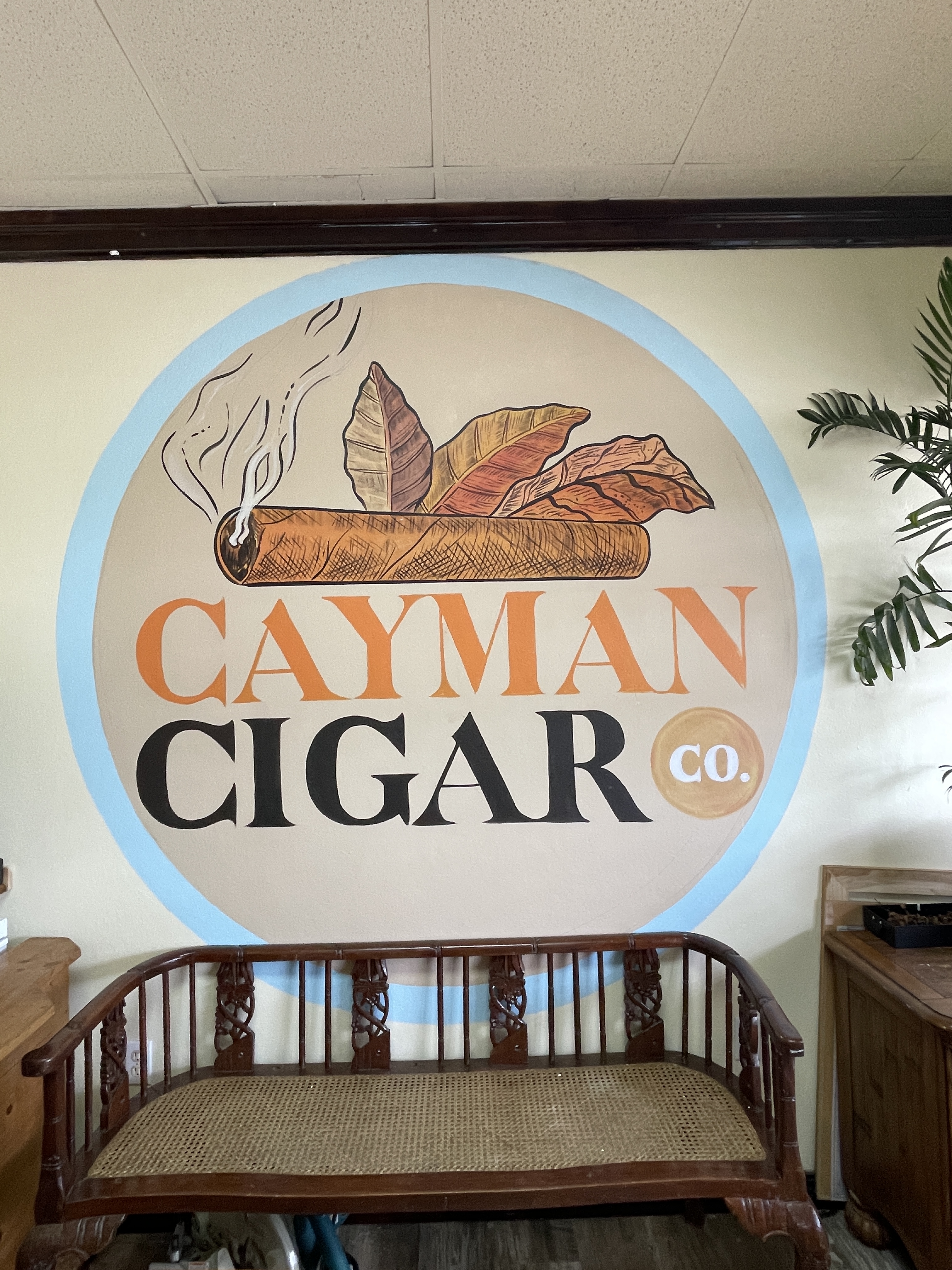 Grand Cayman island – Life Kinetic Travel Research